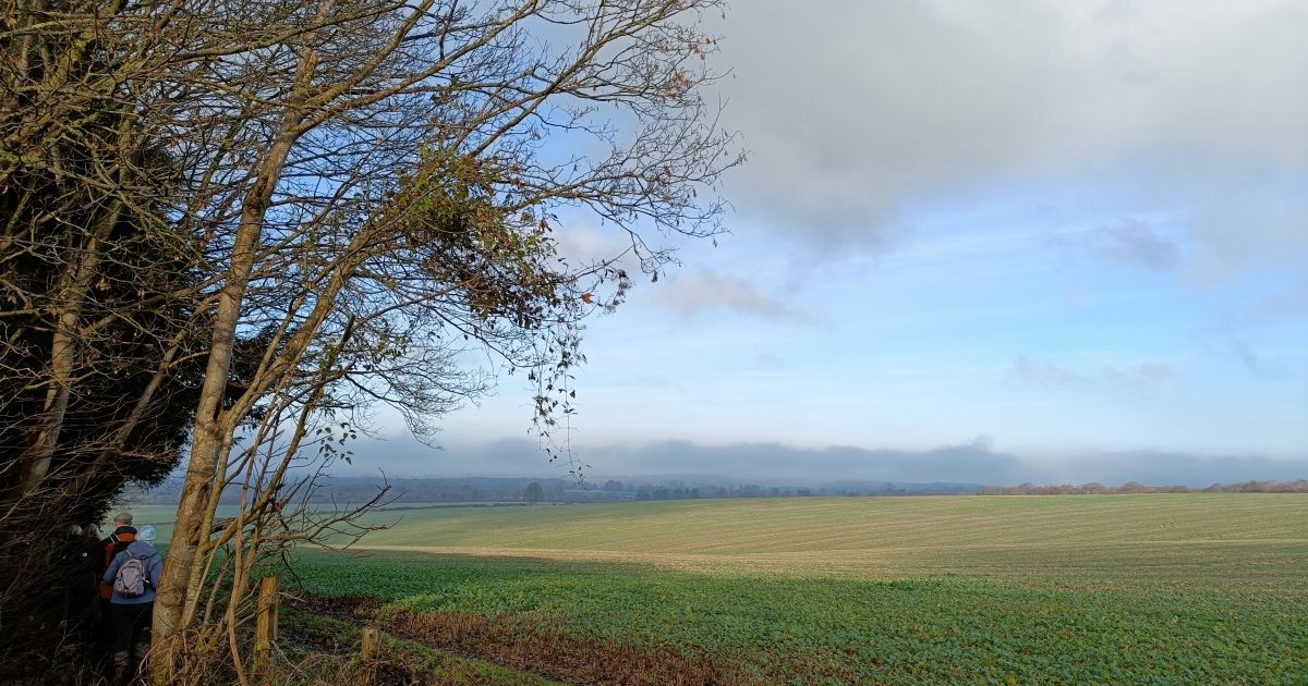 Clandon circular - Ramblers